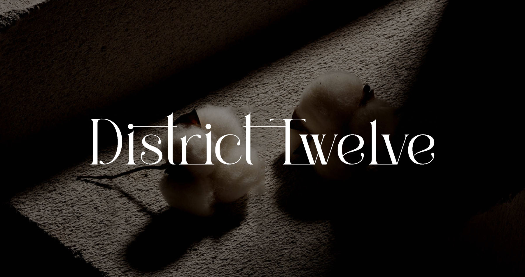 District Twelve